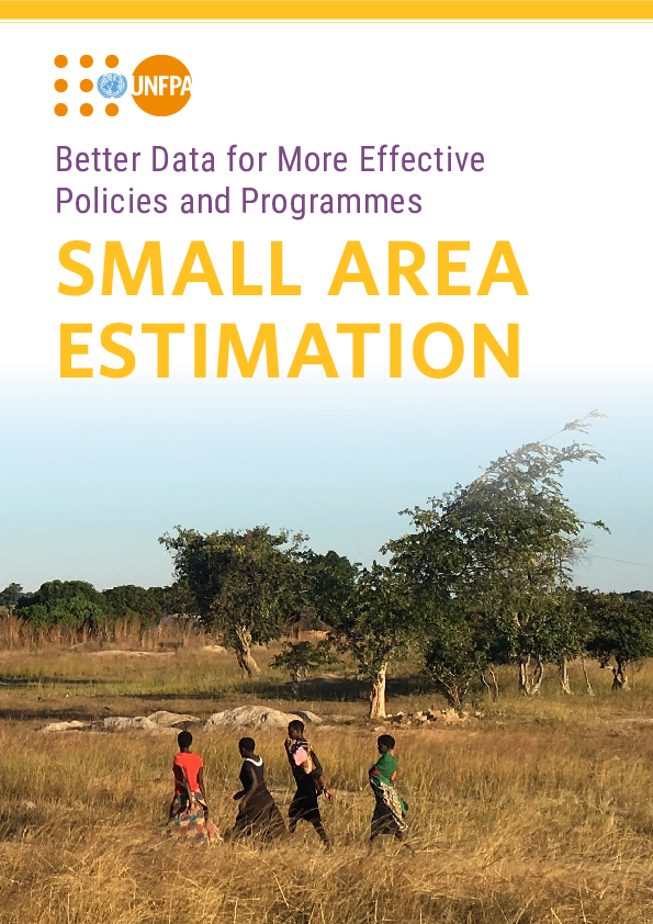 Small Area Estimation | UNFPA Administrative Agent