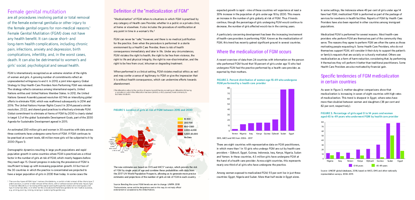 Brief on the medicalization of female genital mutilation